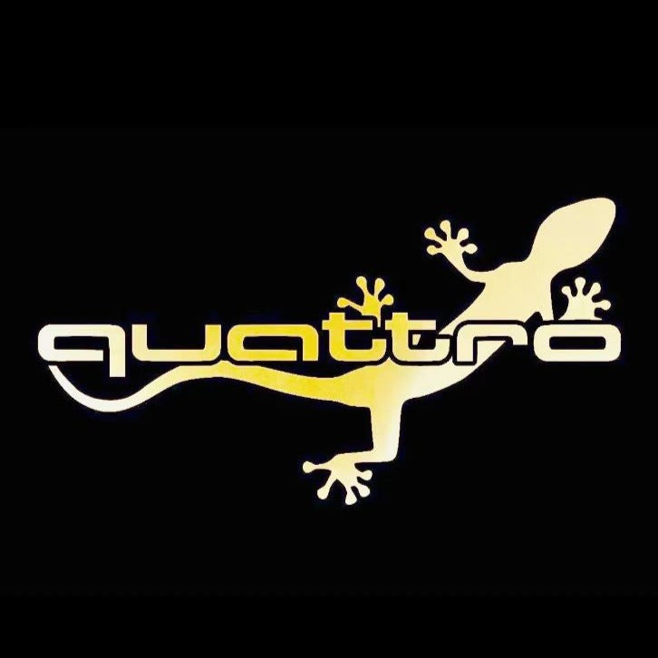 AUDI QUATTRO GECKO LOGO PROJECTOT LIGHTS Nr.64 (quantity 1 = 2 Logo Fi