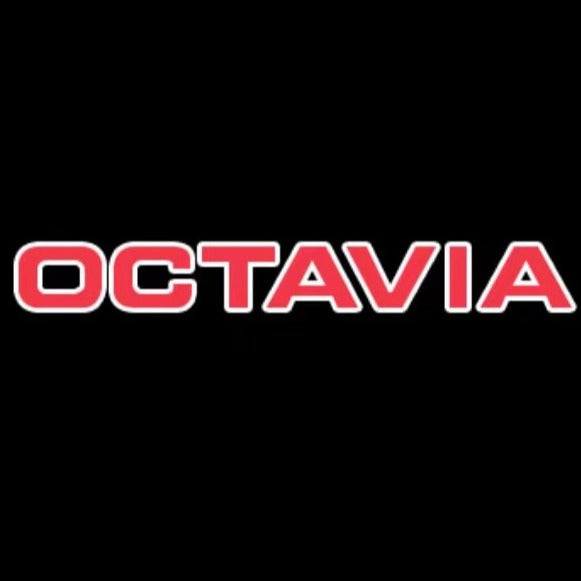 SKODA OCTAVIA LOGO LIGHTS Nr.106 (quantity 1 = 2 Logo Film / 2 door li