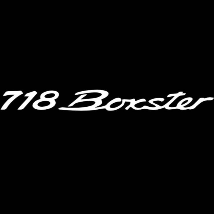 PORSCHE BOXSTER S LOGO PROJECTOT LIGHTS Nr.8017 (quantity 1 = 2 Logo F ...