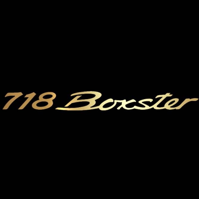 PORSCHE BOXSTER LOGO PROJECTOT LIGHTS Nr.8018 (quantity 1 = 2 Logo Fil ...