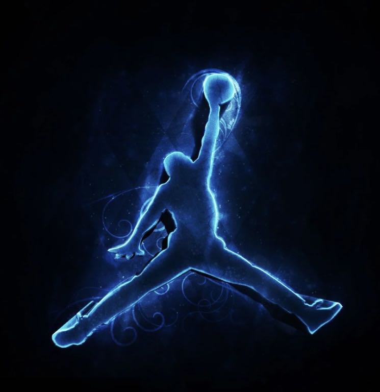 JORDAN Logo door lights Nr.24V quantity 1 = 1 sets/2 door lights)Colla ...