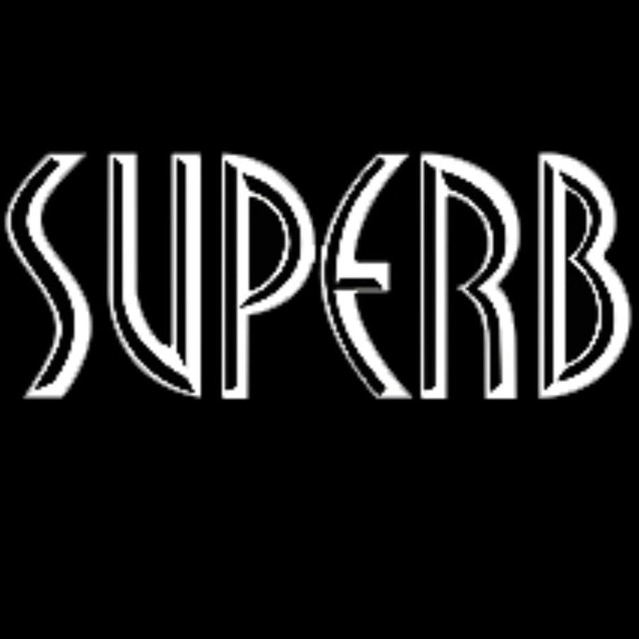 SKODA SUPERB LOGO PROJECTOT LIGHTS Nr.90 (quantity 1 = 2 Logo Film / 2 ...